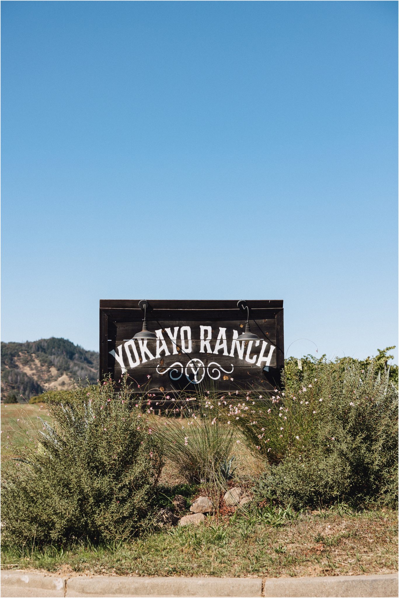 Orange and Yellow Florals for a Colorful Yokayo Ranch Wedding | Holly + Jen - ashleycarlascio.com