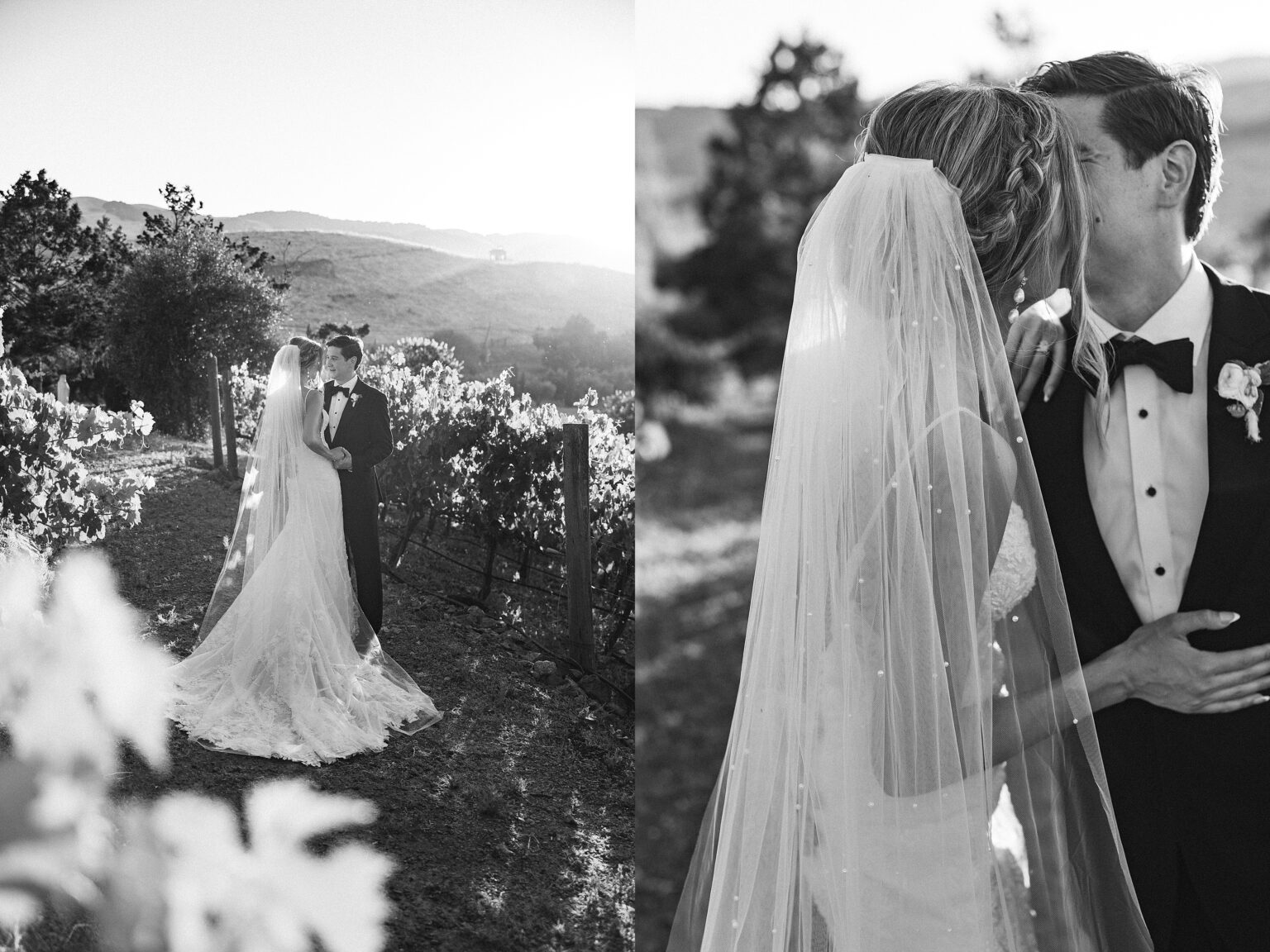 Understanding Different Photography Styles: Breaking Down "Sepia Gate ...